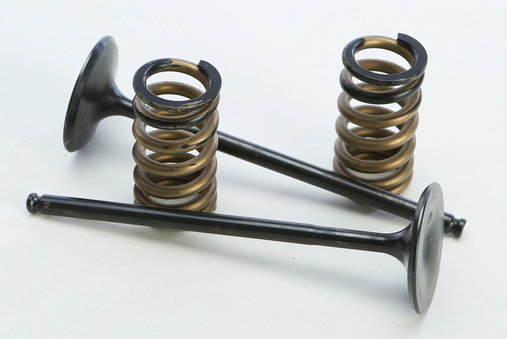 Intake Valve Conversion Set Ti Steel Hus/Ktm – Osburn's Family Business
